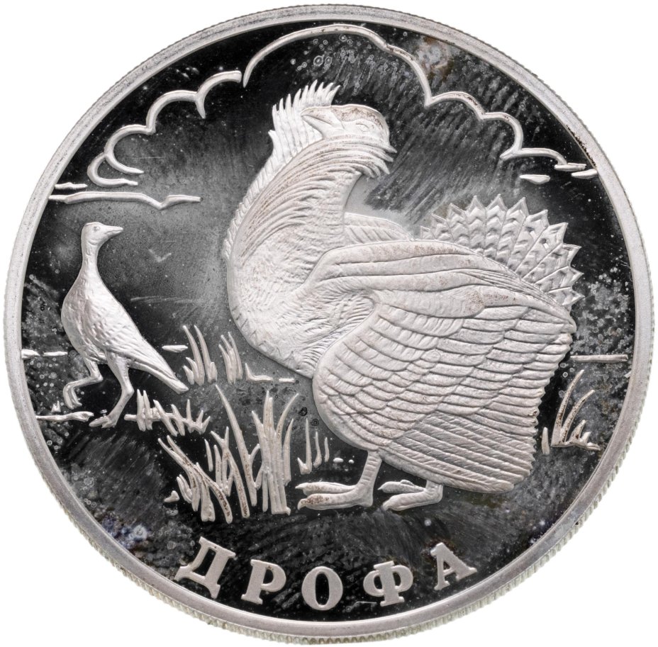 Монета 1 рубль 2004 СПМД дрофа стоимостью 3824 руб.