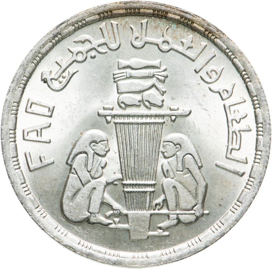 Монета Египет 1 фунт (pound) 1981 "ФАО" стоимостью 2950 руб.